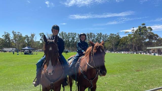 Bordertown Show | Border Chronicle